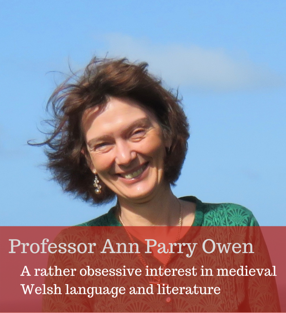 Professor Ann Parry Owen: a rather obsessive interest in medieval Welsh ...